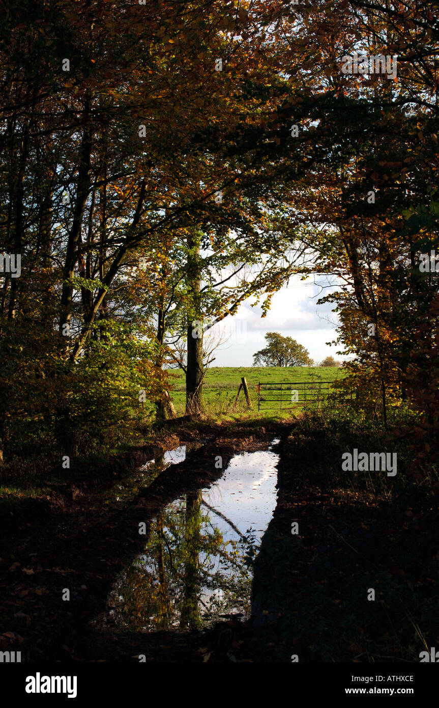 Flooded Track To A Field Stock Photo - Alamy