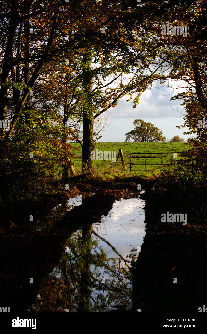 Flooded Track To A Field Stock Photo - Alamy
