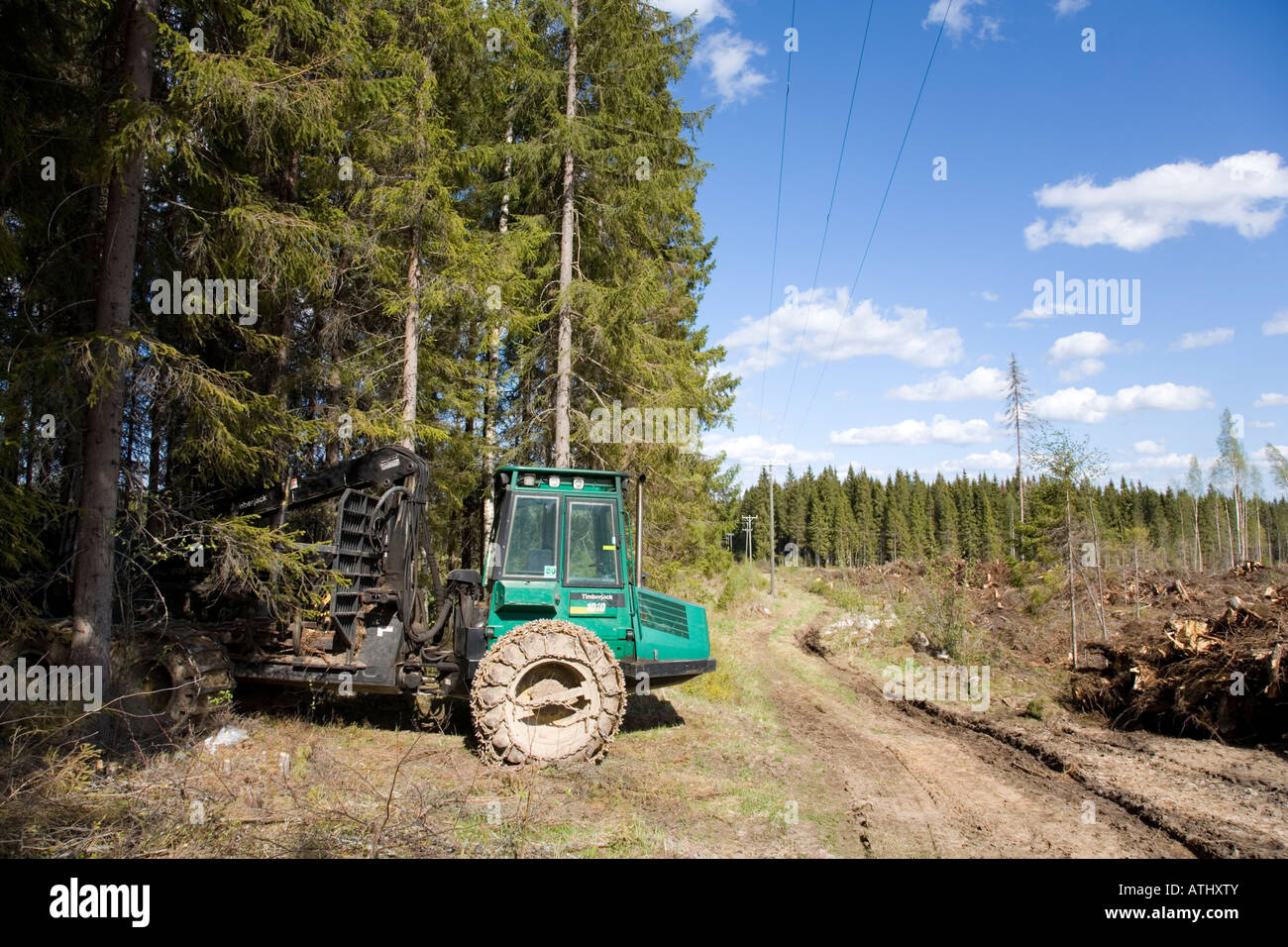 Green Timberjack forest harvester parked to the taiga forest edge ...