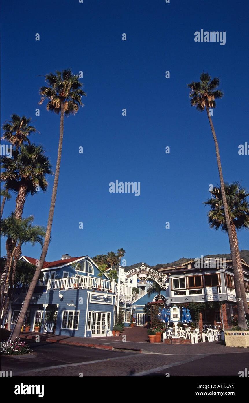 Catalina island, street, tree palm, blue sky Stock Photo - Alamy