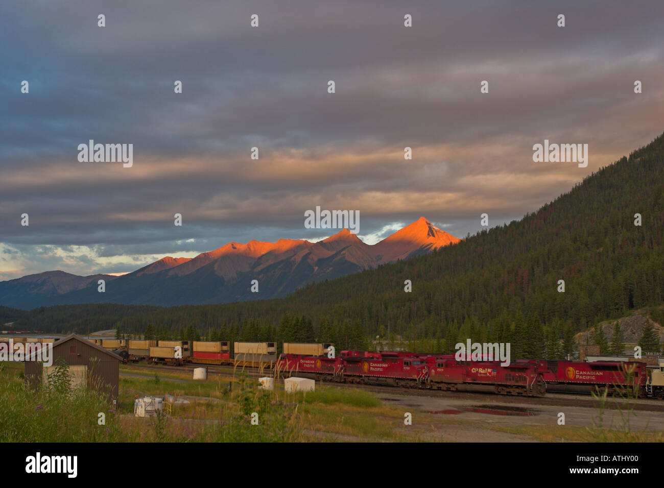 Field morning yoho np yoho national park hi-res stock photography and ...