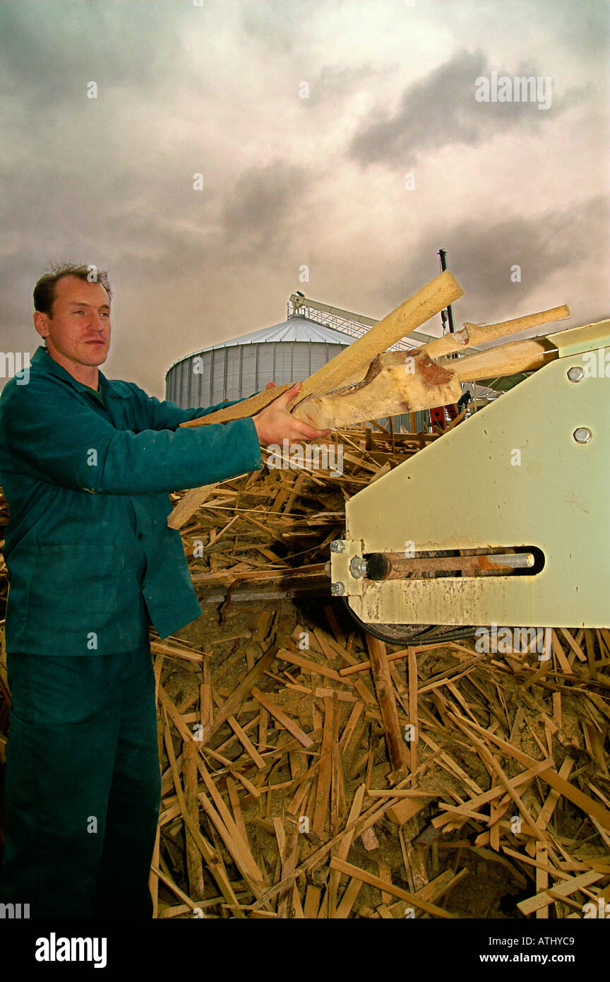 Worker loading wooden tiles into Conveyor Stock Photo - Alamy