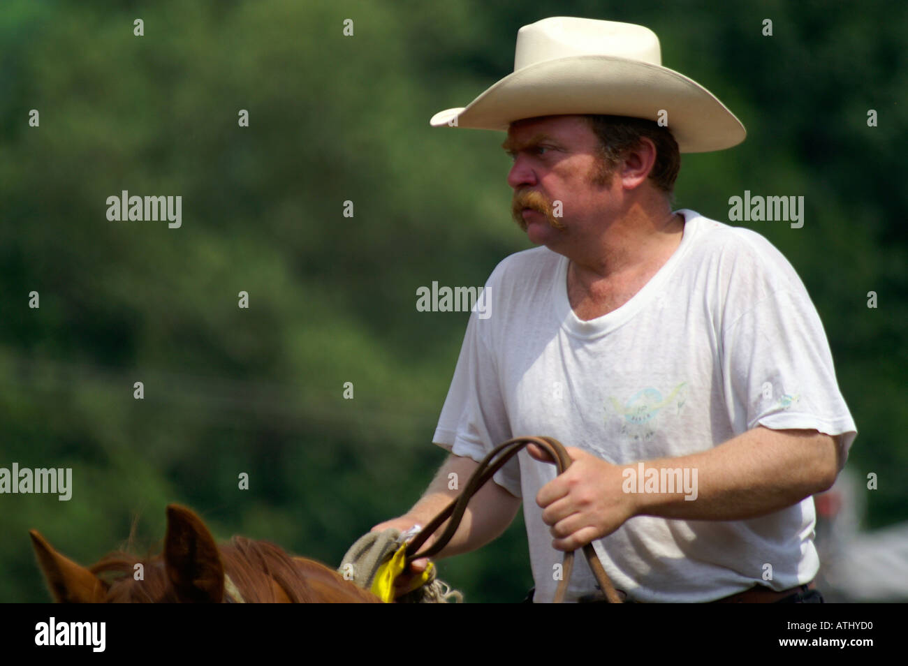 Cowboy Riding Horse Stock Photo Alamy
