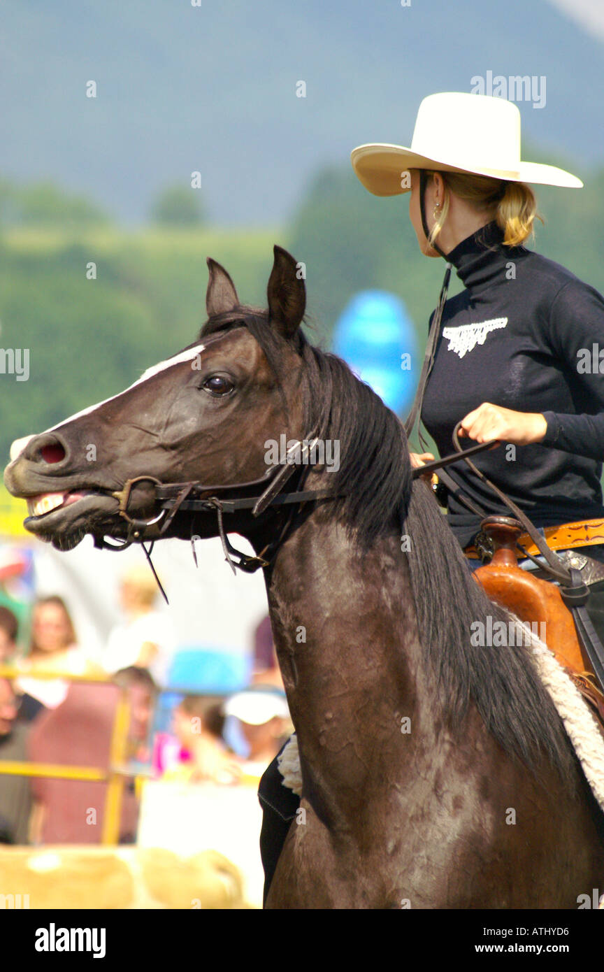 Rodeo rider - detail Stock Photo - Alamy