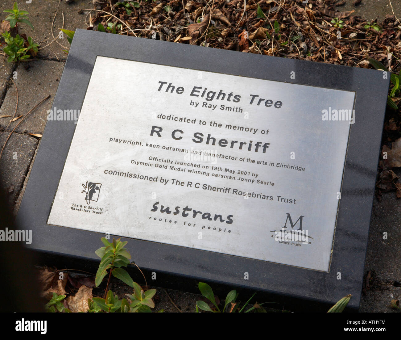 Plaque marking The Eights Tree rowing sculpture by Ray Smith on the ...