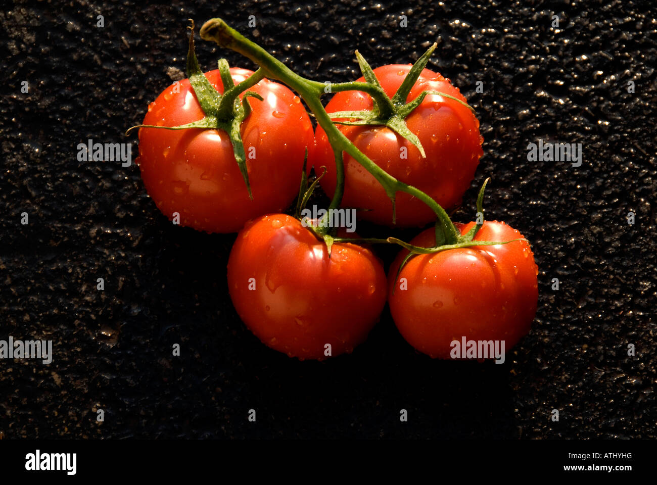 Four red tomatoes on vine Stock Photo - Alamy
