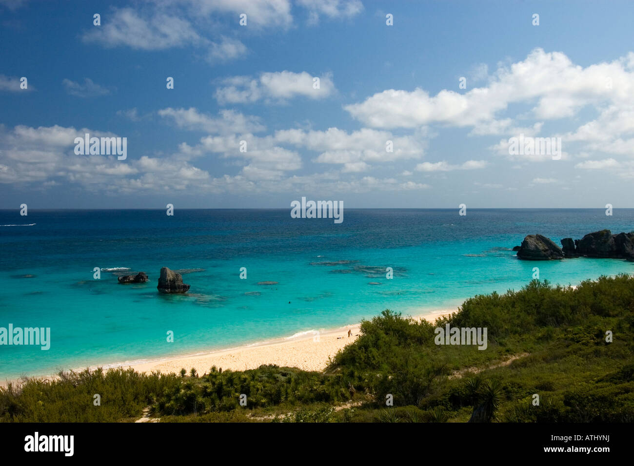 Bermuda beach, paradise, island, tropical, wonderful view, turquoise ...