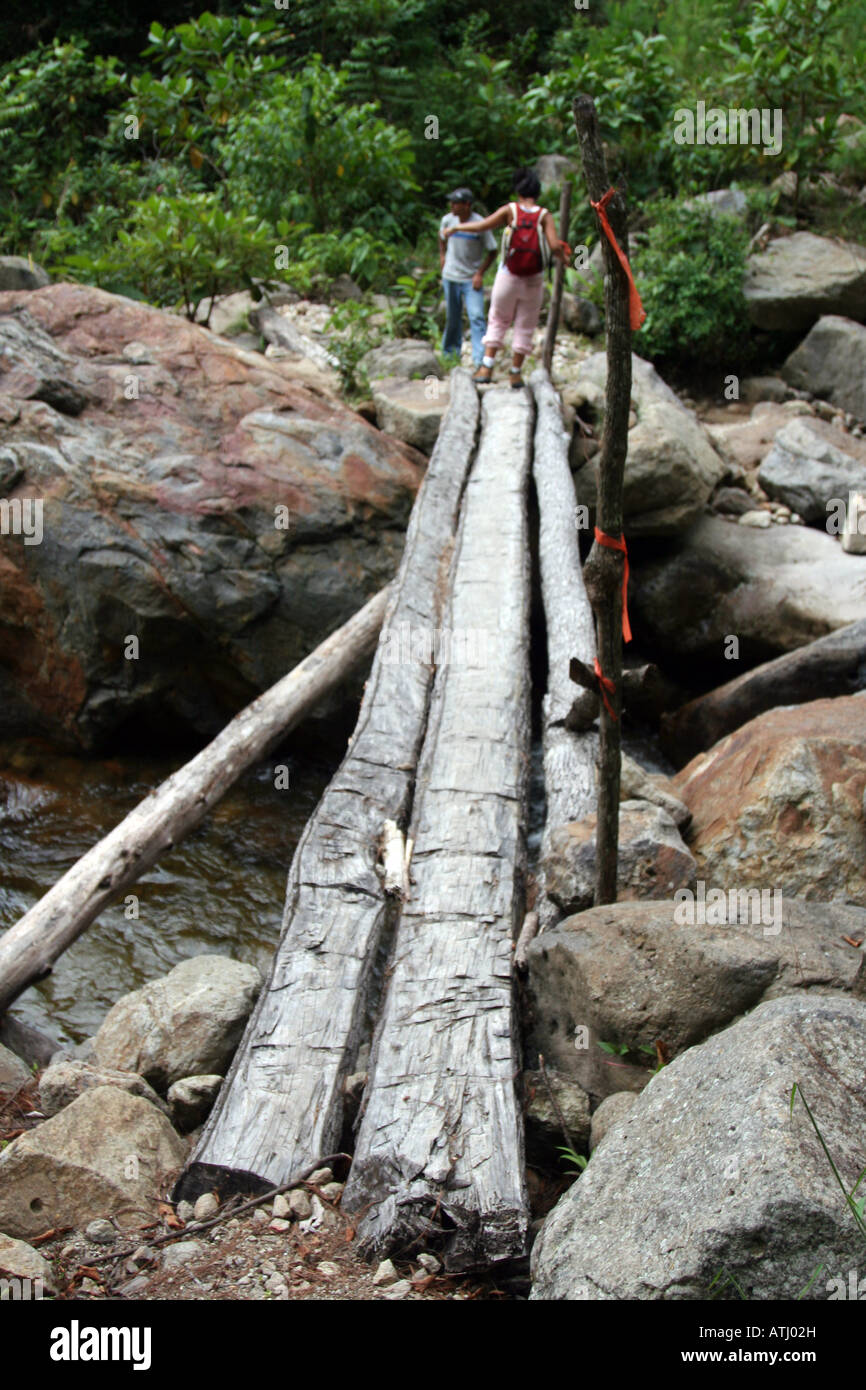 Hikers crossing a log bridge in Celaque National Park, a cloud forest ...