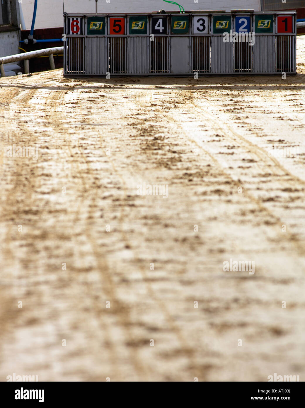 Greyhound starting traps Stock Photo - Alamy