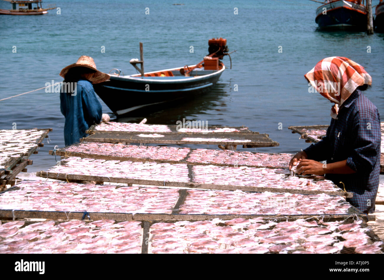 Women prepare drying fish in Thailand Stock Photo - Alamy