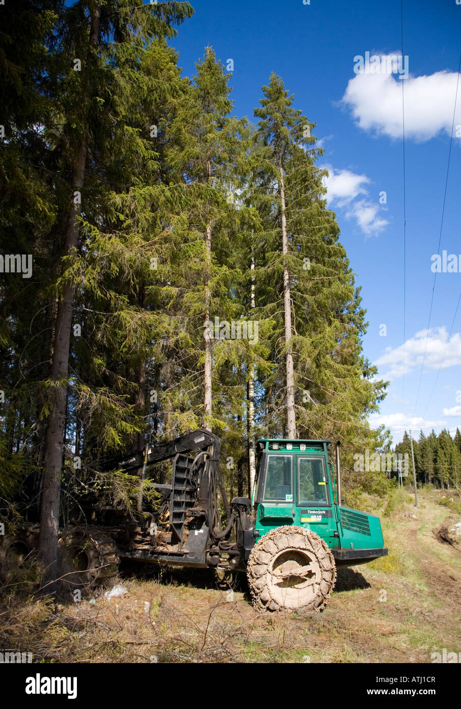 Green Timberjack 1010 forest harvester parked to the taiga forest edge ...