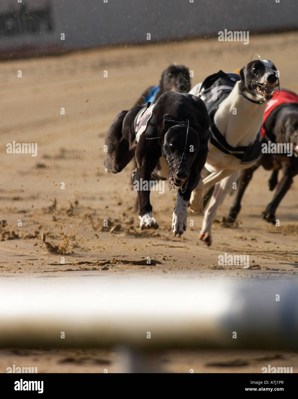 Lure racing hi-res stock photography and images - Alamy