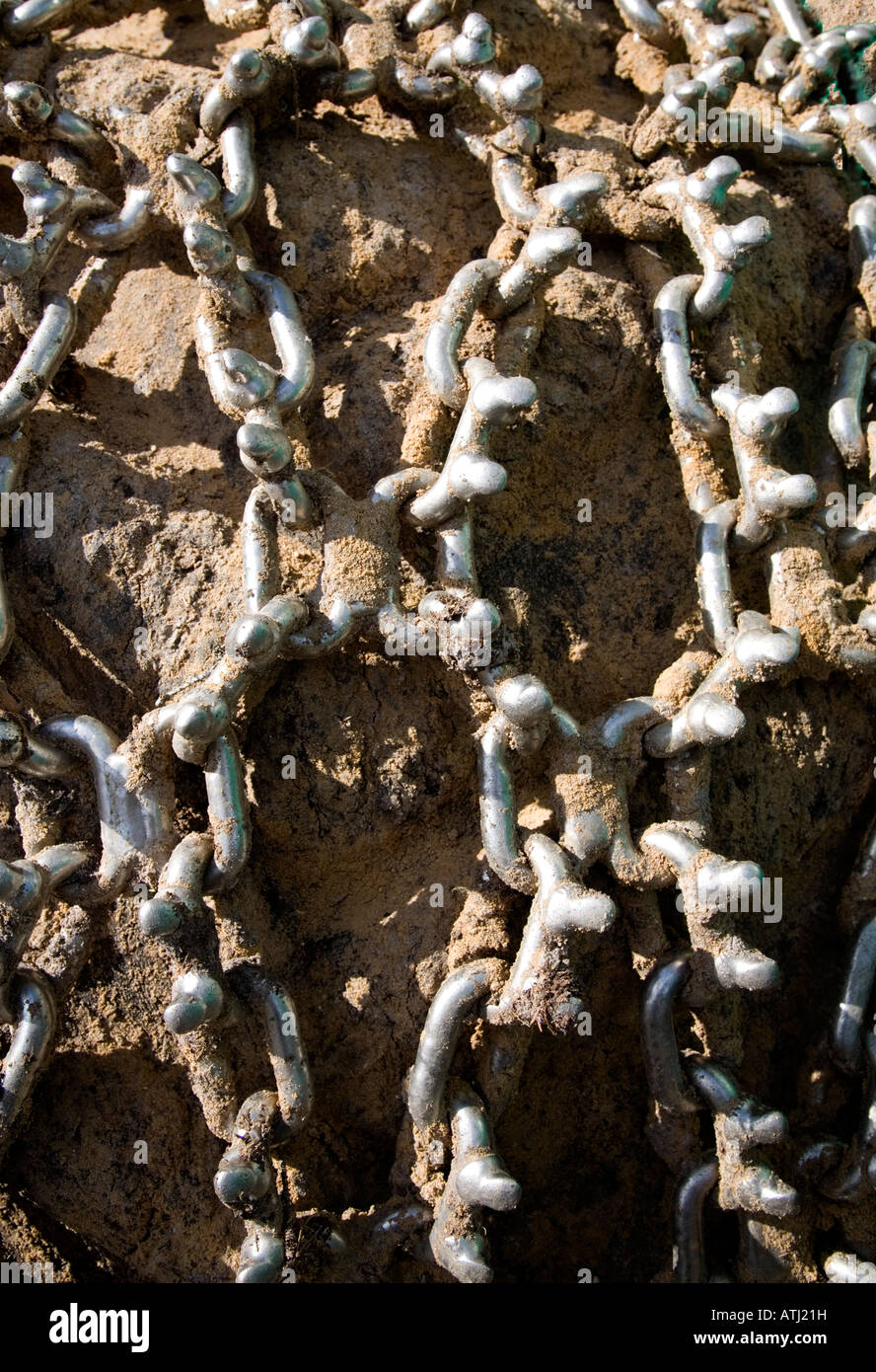 Forest harvester detail hi-res stock photography and images - Alamy