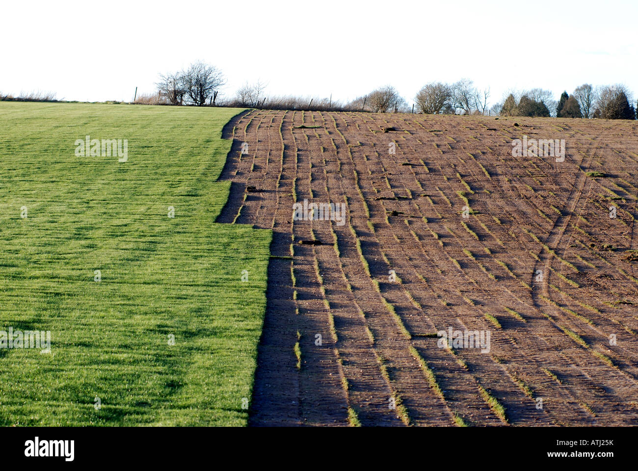 Field cut for turf, Warwickshire, England, UK Stock Photo - Alamy
