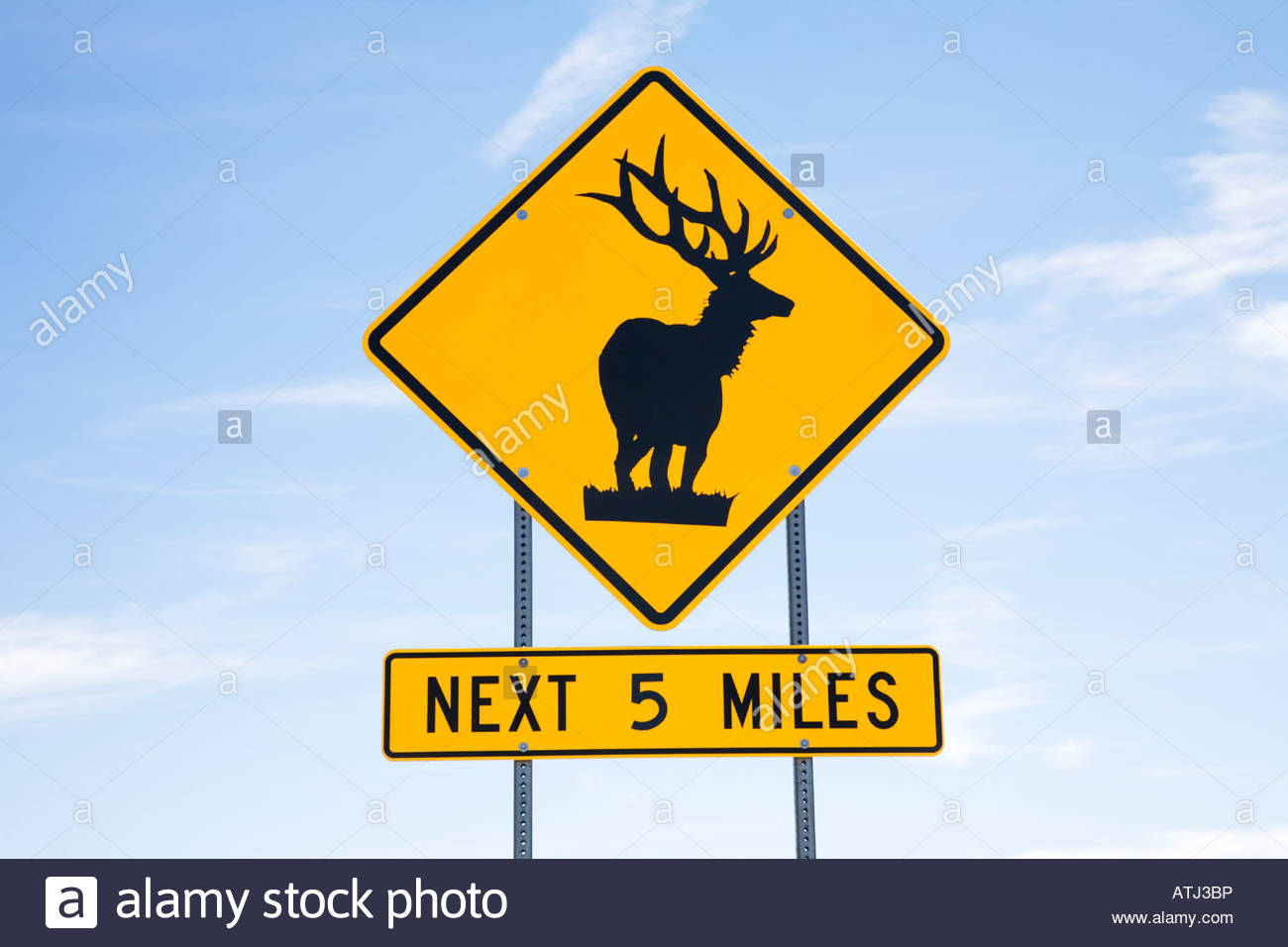 Elk Crossing Road Sign High Resolution Stock Photography and Images - Alamy