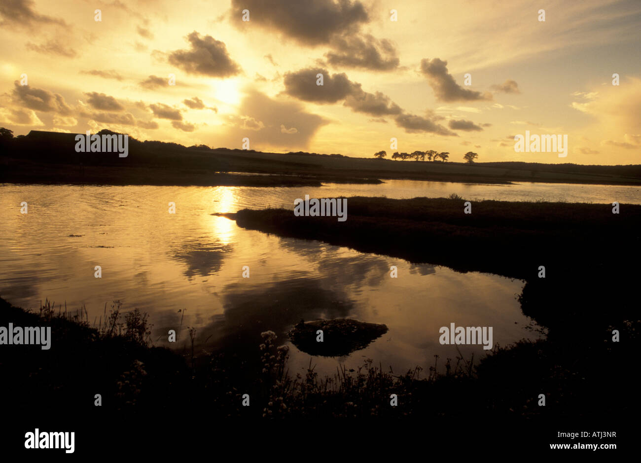 Uk england isle wight newtown hi-res stock photography and images - Alamy