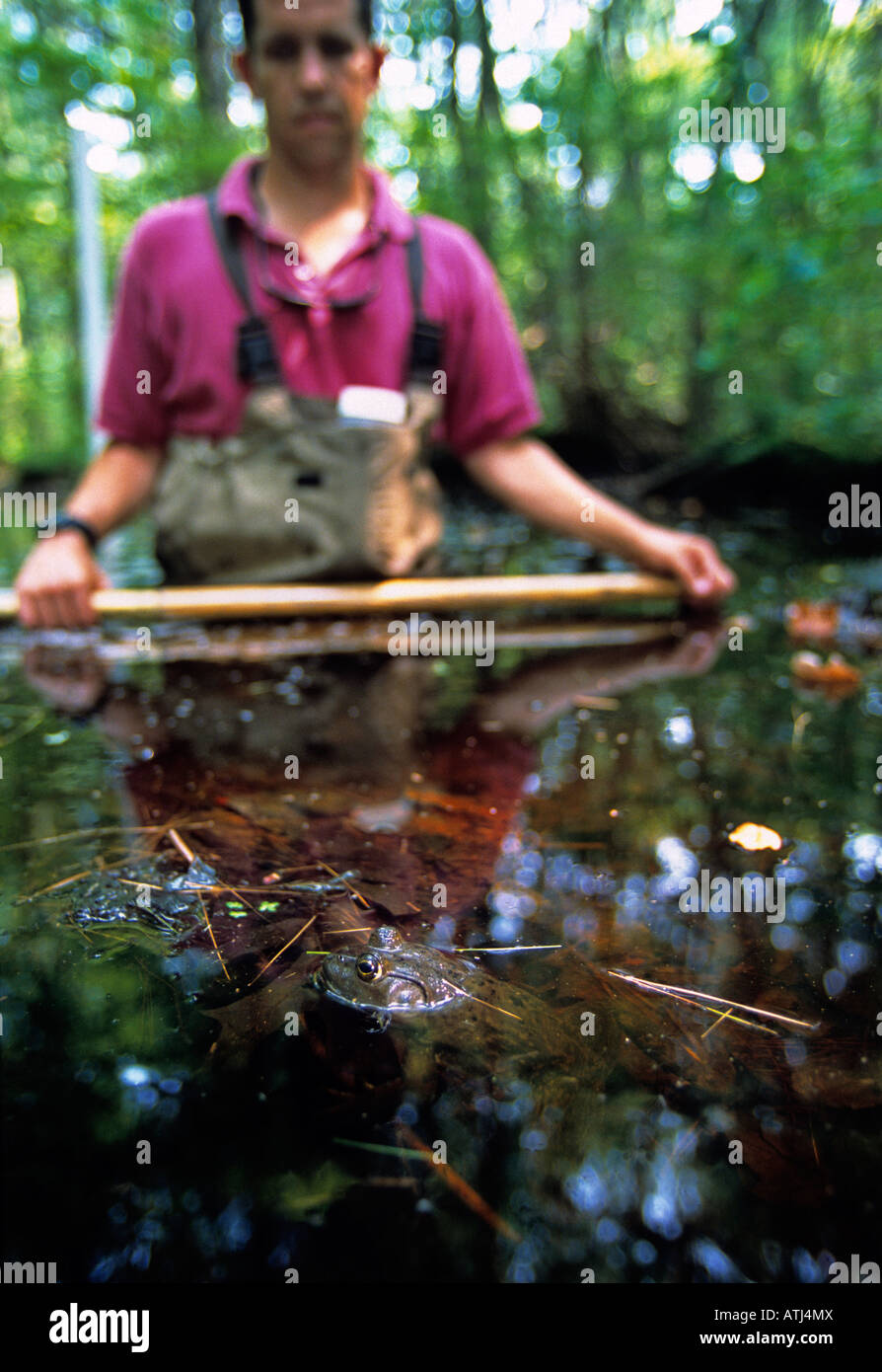 Connecticut ecology hi-res stock photography and images - Alamy