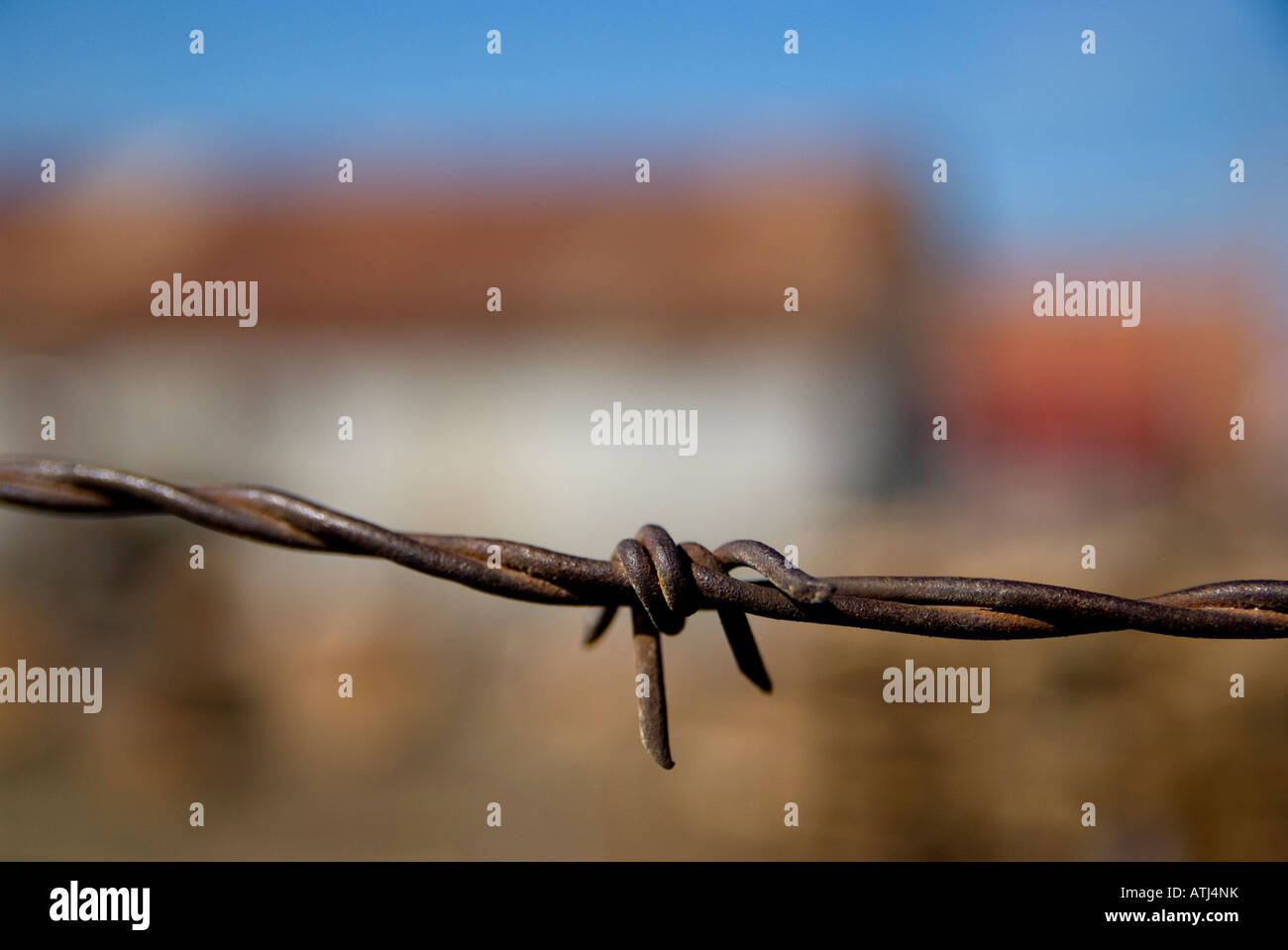 Texas barb wire hi-res stock photography and images - Alamy