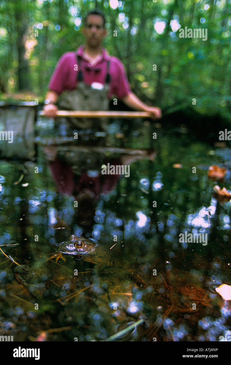 Skelly hi-res stock photography and images - Alamy