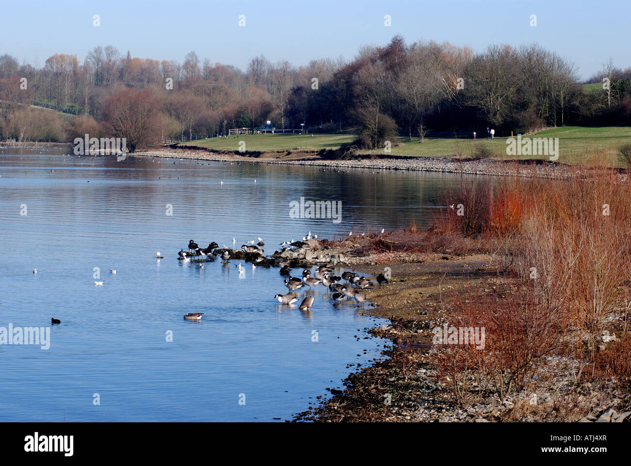 Draycote Water in winter, Warwickshire, England, UK Stock Photo - Alamy