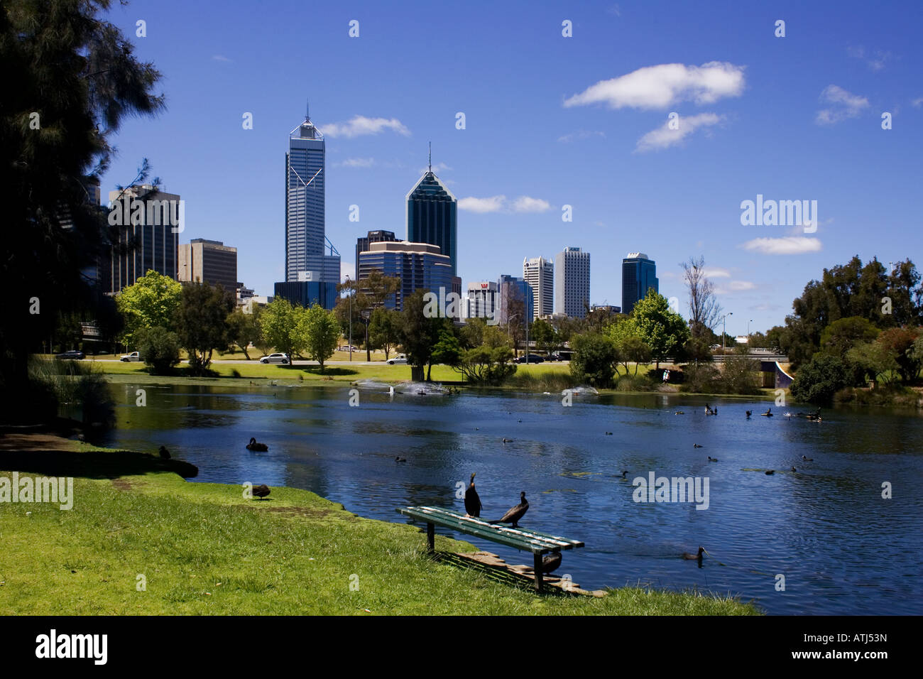 Perth City Skyline from Kings Park Stock Photo - Alamy