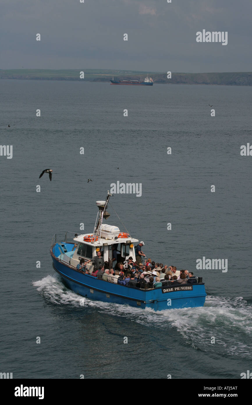 'Dale Princess' boat ferrying people from Skomer island Wales Stock ...