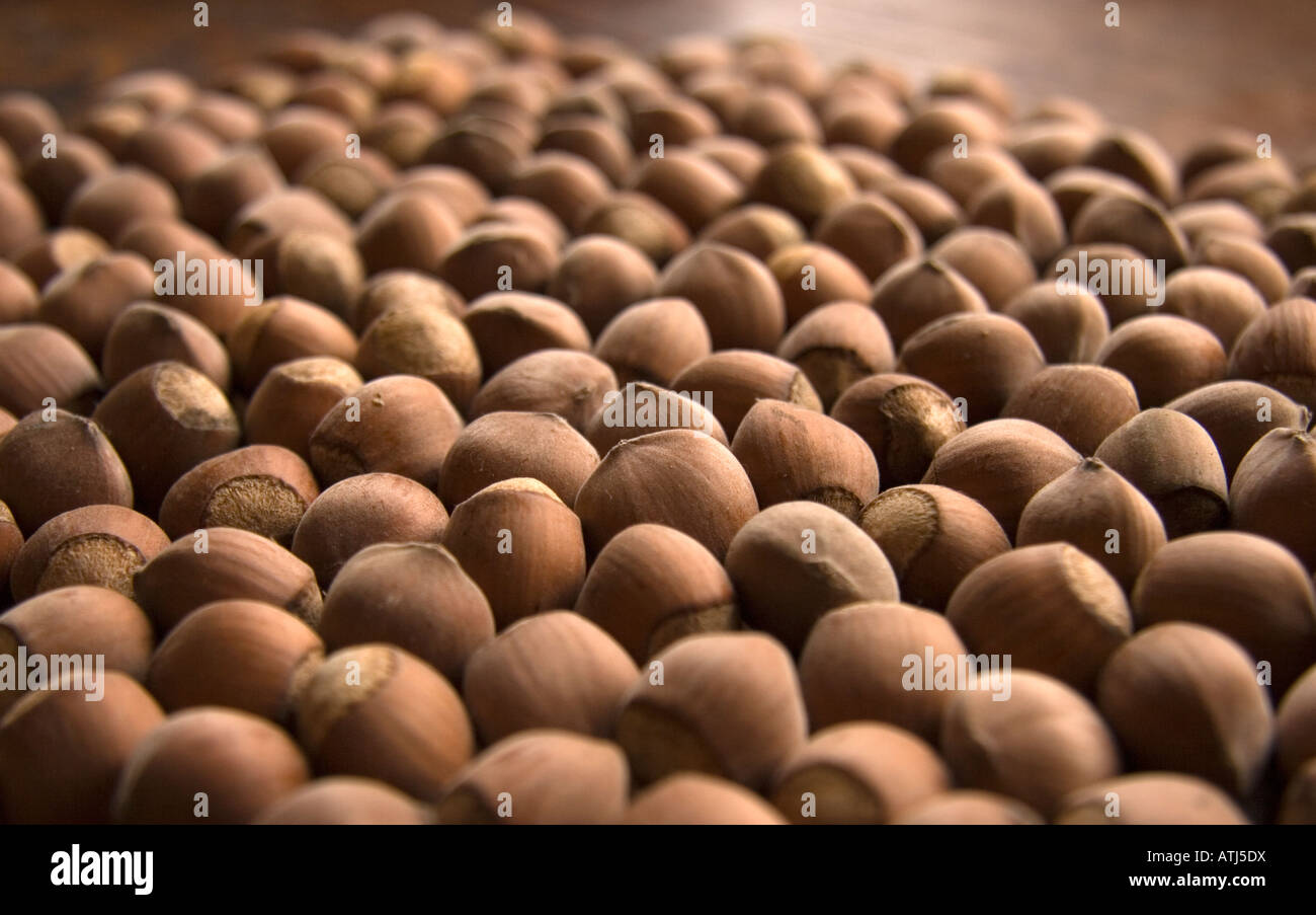 Structure of hazelnuts Stock Photo - Alamy