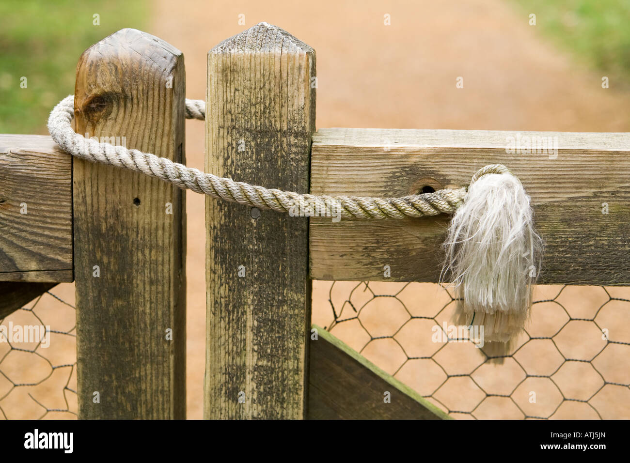 Fastened to gate hi-res stock photography and images - Alamy