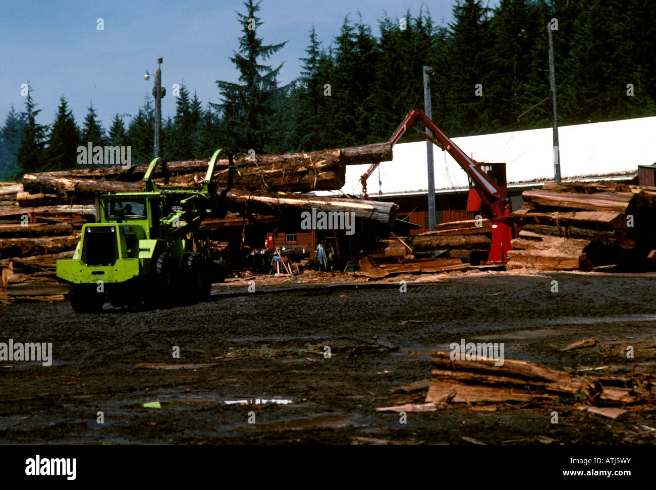 WA Washington State Olympic National Park Logging near Park at Forks ...