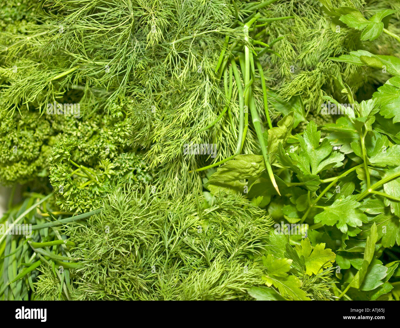 Herbs chives dill parsley hi-res stock photography and images - Alamy