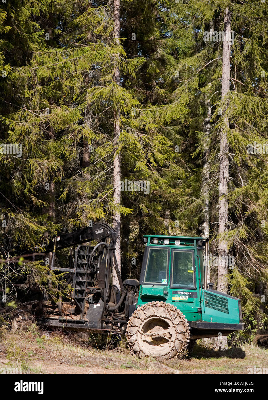 Green Timberjack forest harvester parked to the taiga forest edge ...