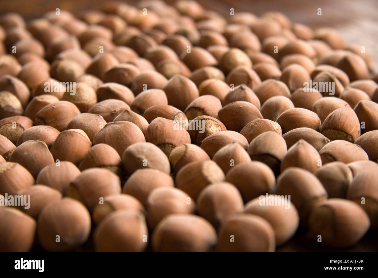 Structure of hazelnuts Stock Photo - Alamy