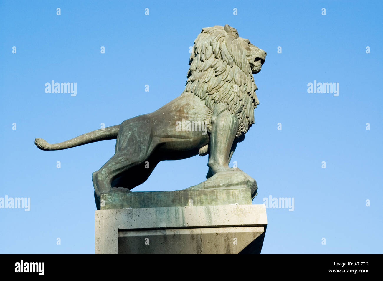 Lion bronze statue in Zaragoza, Aragon, Spain Stock Photo - Alamy