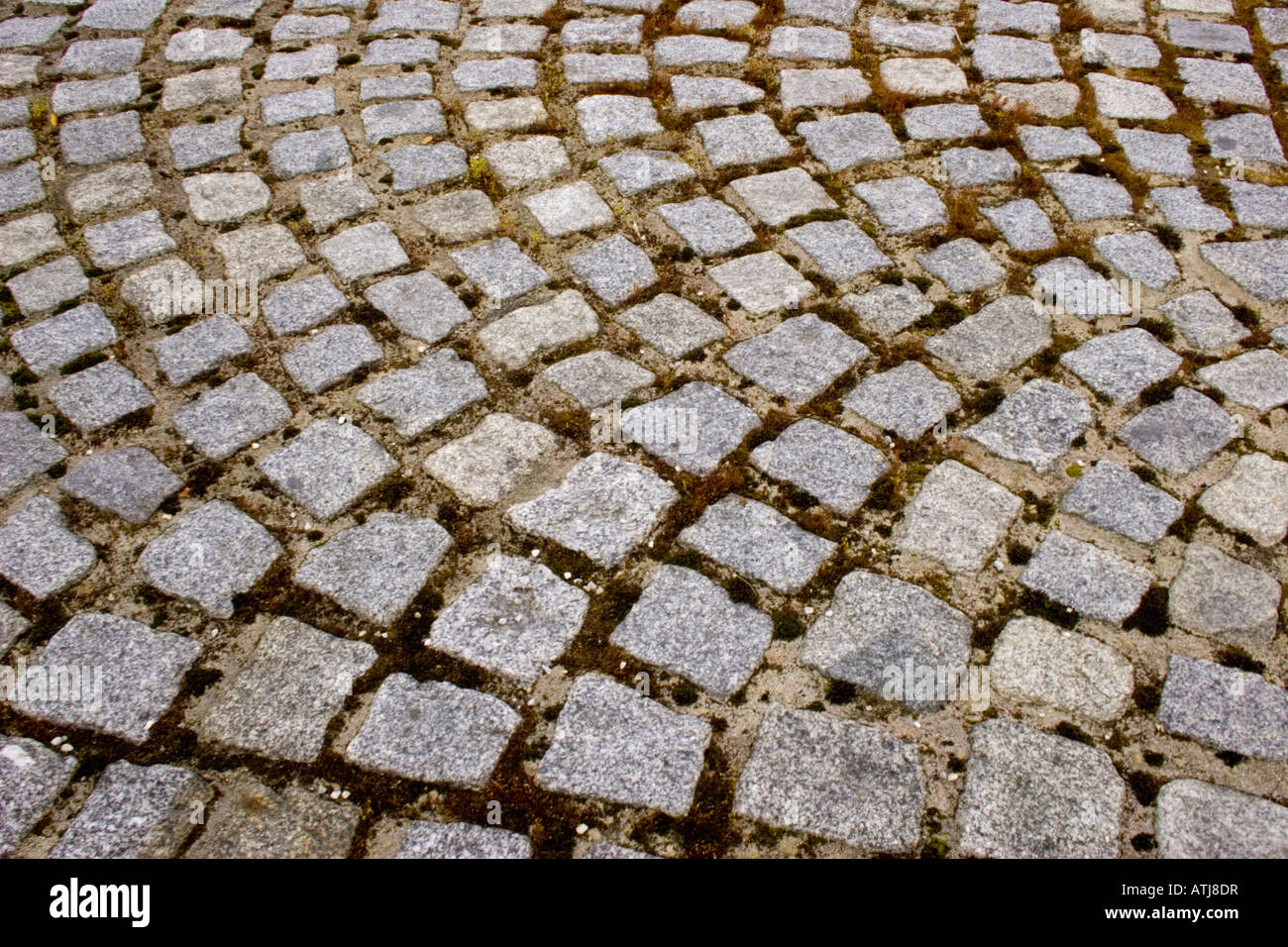 Paviors hi-res stock photography and images - Alamy