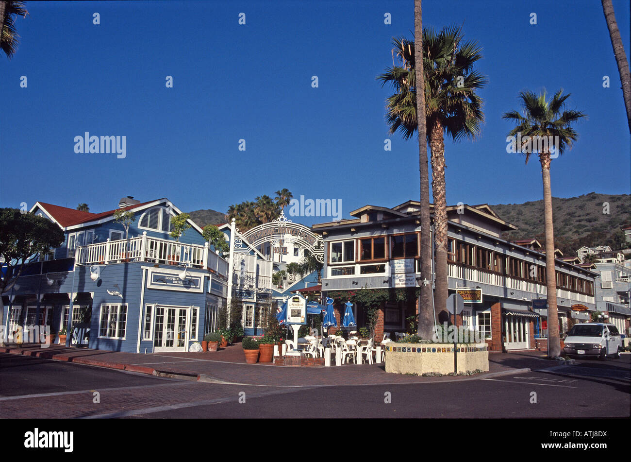 Catalina island, street, tree palm, blue sky Stock Photo - Alamy