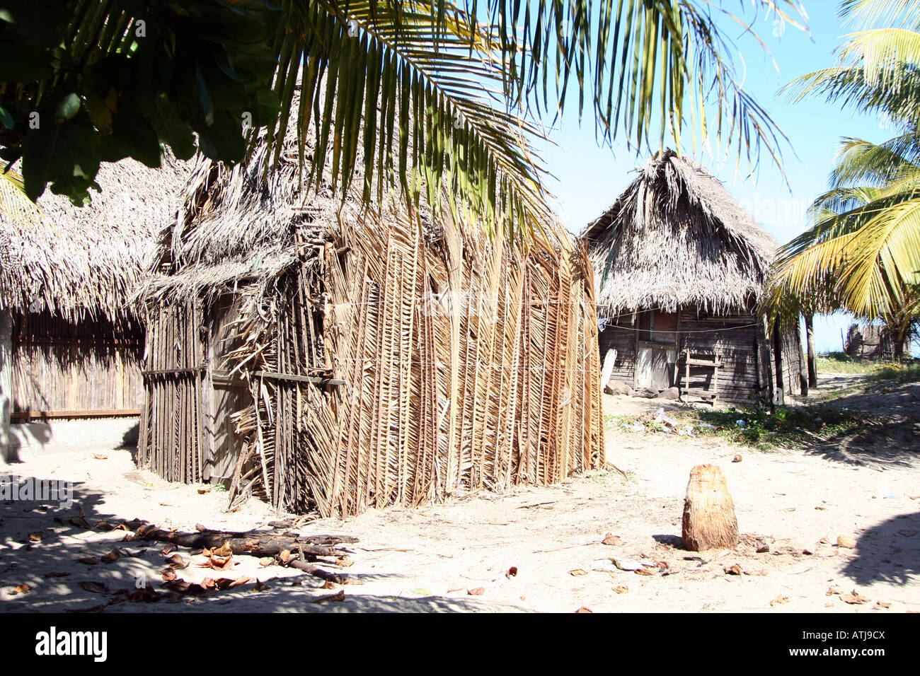 Garifuna thatched shacks in the village of Miami in Parque Nacional ...