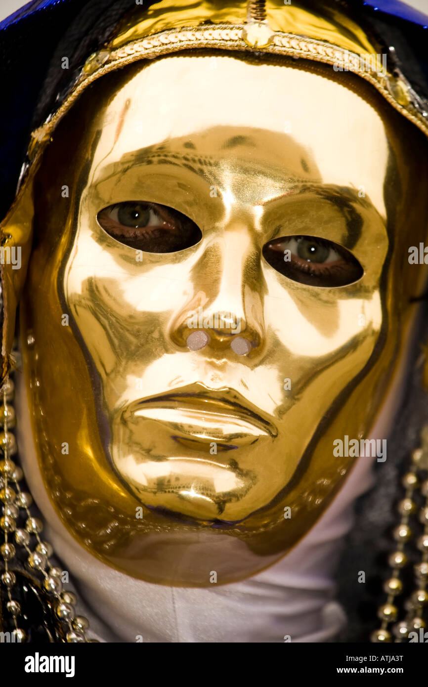 Portrait of a person dressed in Carnival costume and mask Venice ...