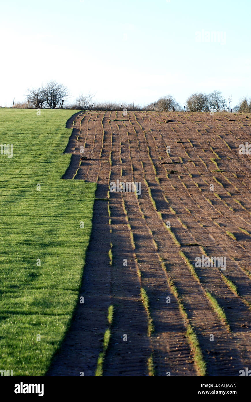 Turf Strips High Resolution Stock Photography and Images - Alamy