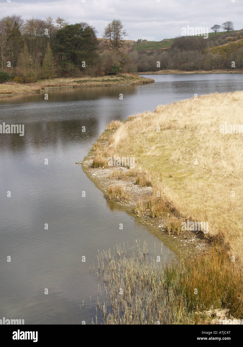 woods tarn reservoir bank trees sloping bank Stock Photo - Alamy