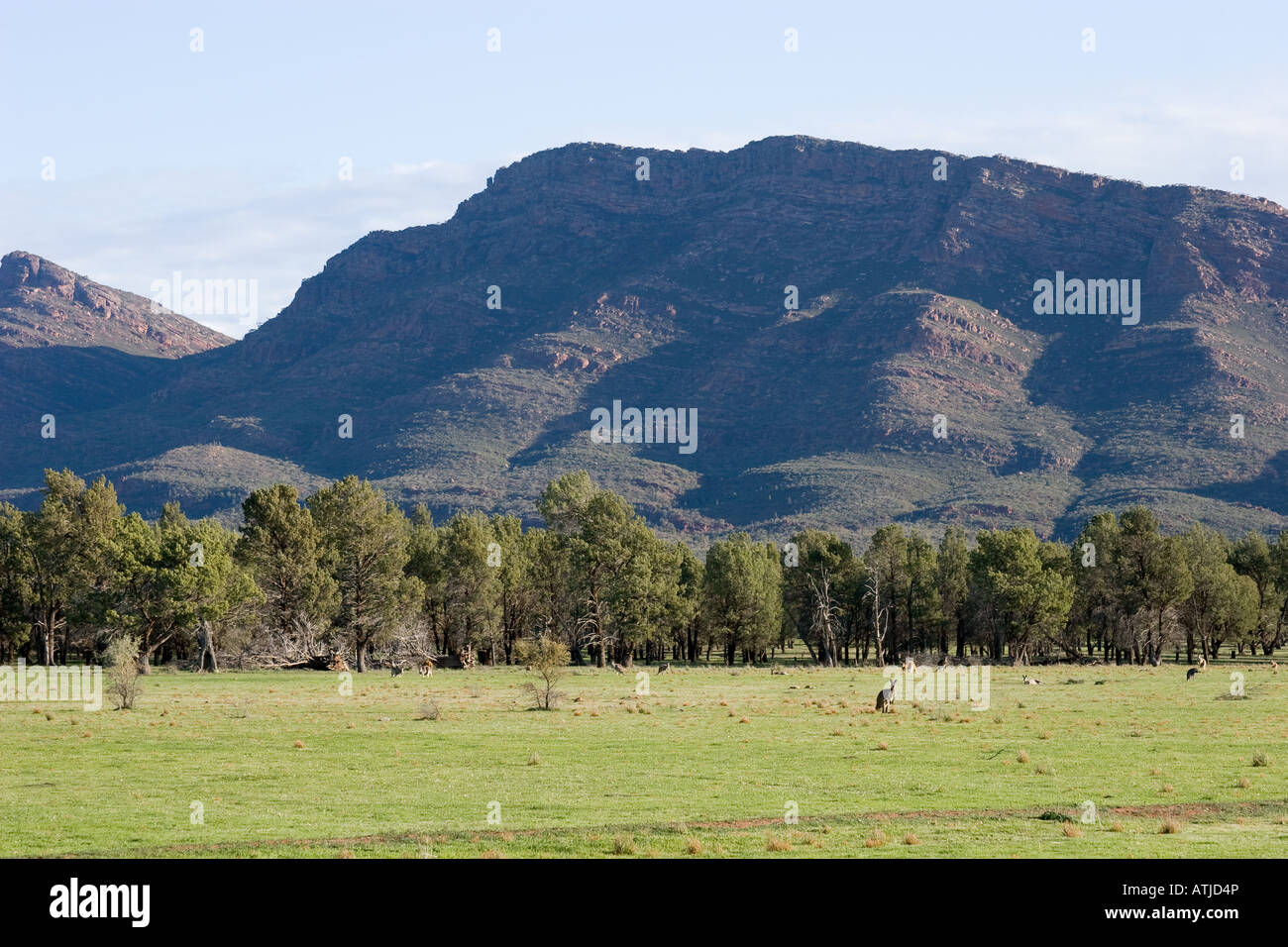 North flinders ranges hi-res stock photography and images - Alamy