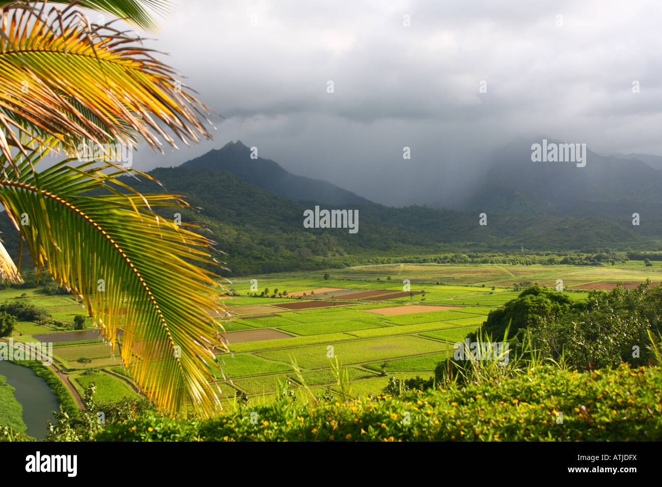 Hanalei Valley Overlook Stock Photo - Alamy