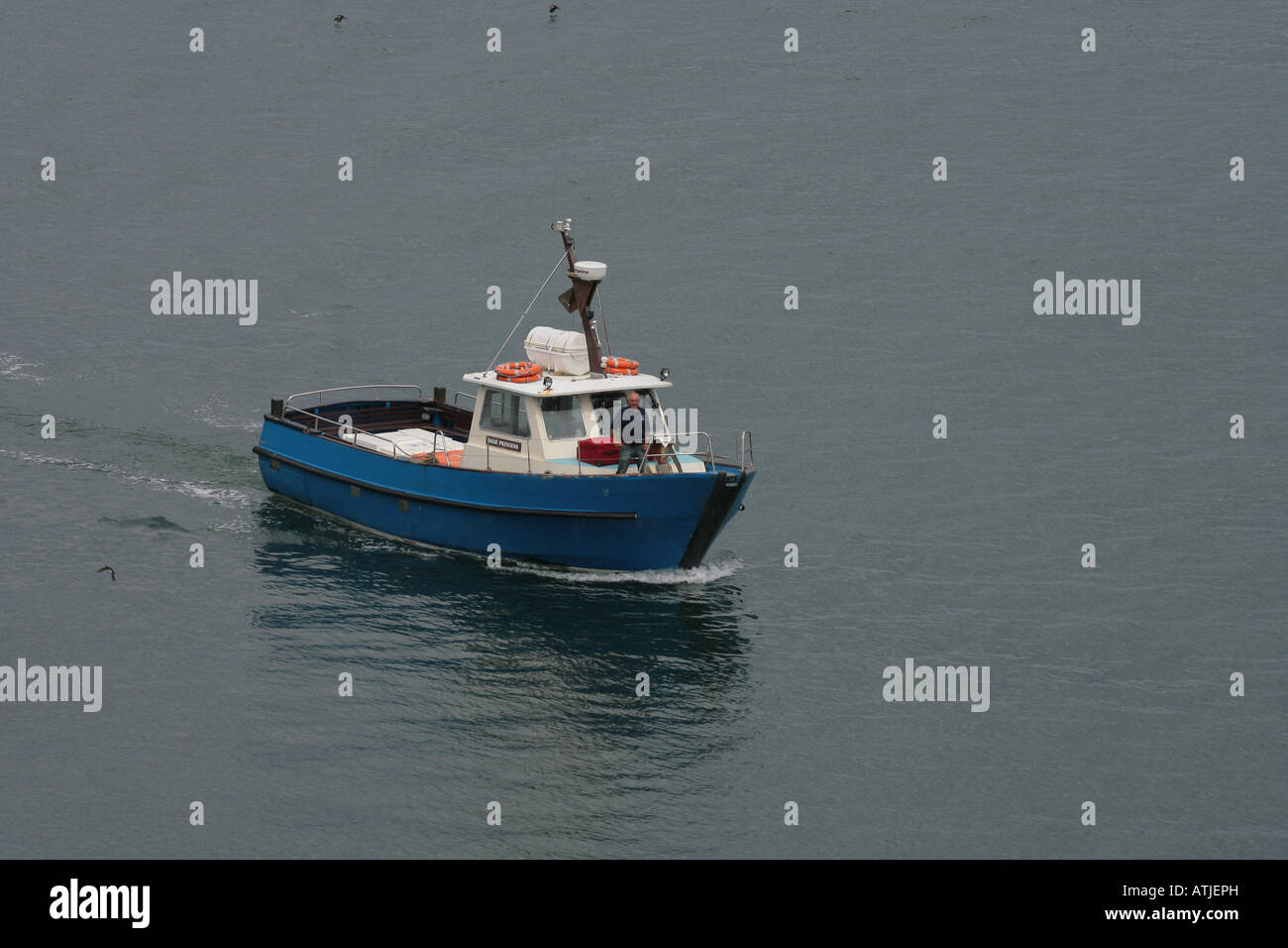 'Dale Princess' boat heading to Skomer island Wales Stock Photo - Alamy