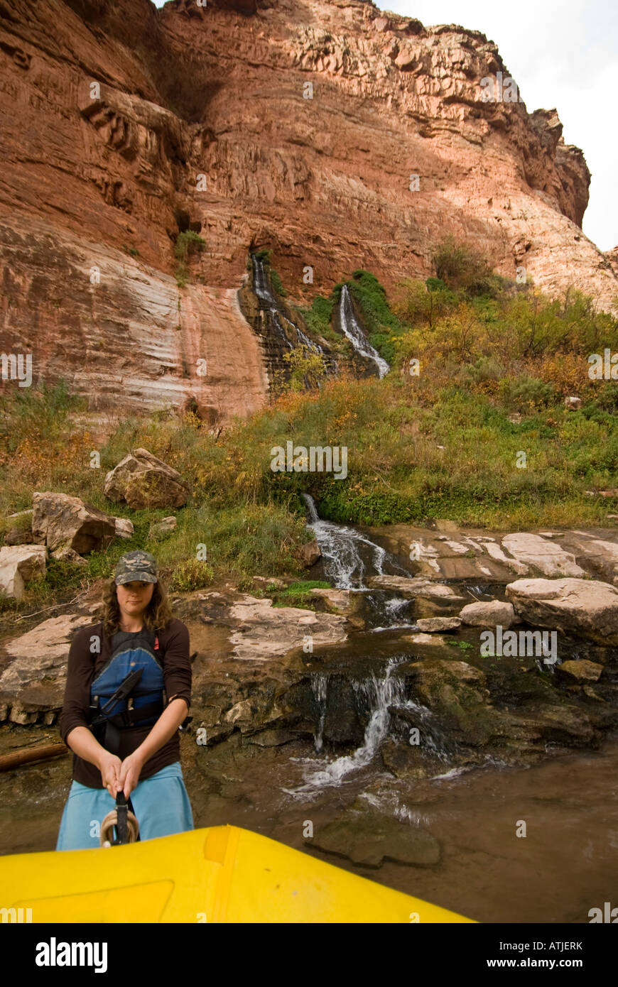 Pulling at Vasey s Paradise on the Colorado River in the Grand Canyon National Park Arizona ...