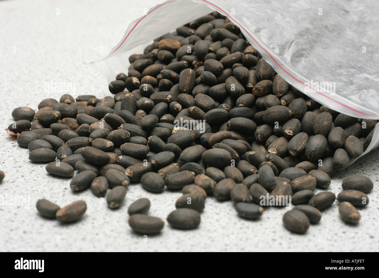 Biofuel production used oil for fuel hi-res stock photography and ...