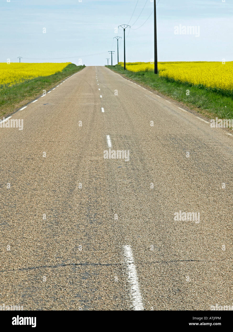 empty country road leading straight ahead through coloured blooming ...