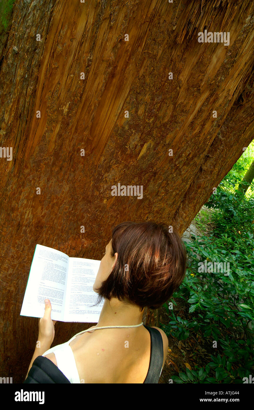 Girl reading leaflet, watching Sequoia tree, Arboretum Mlynany ...