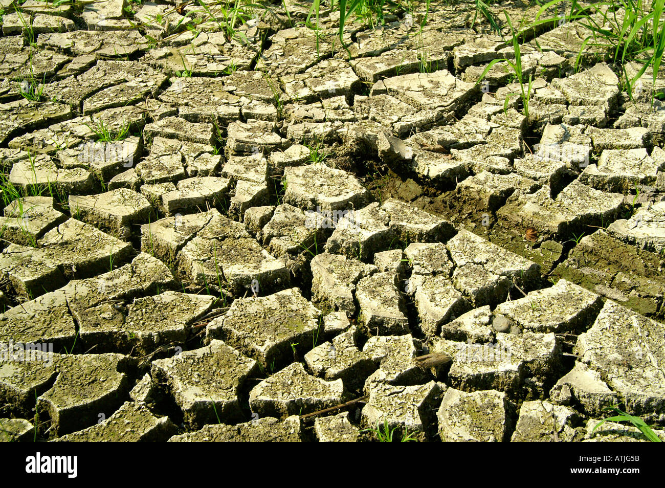 Dry soil surface Stock Photo - Alamy