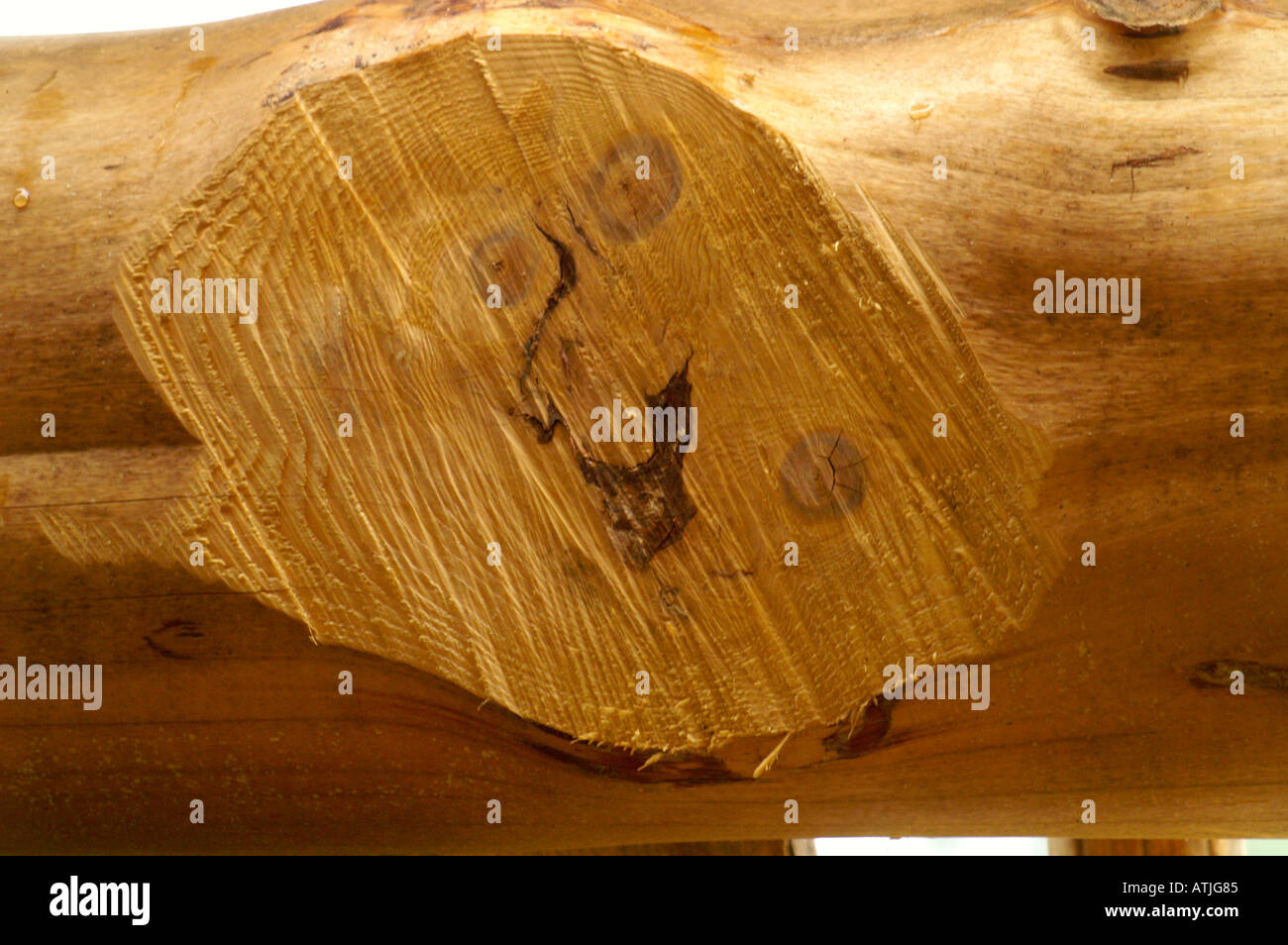 Smiley log hi-res stock photography and images - Alamy