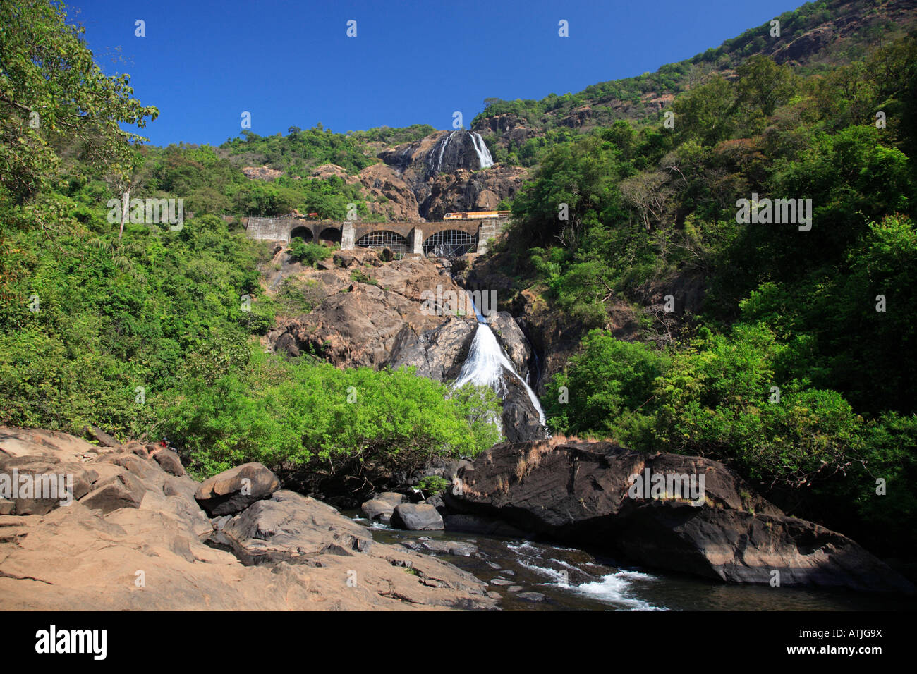 Train crossing the bridge at Dudhsagar Falls Goa India Stock Photo - Alamy