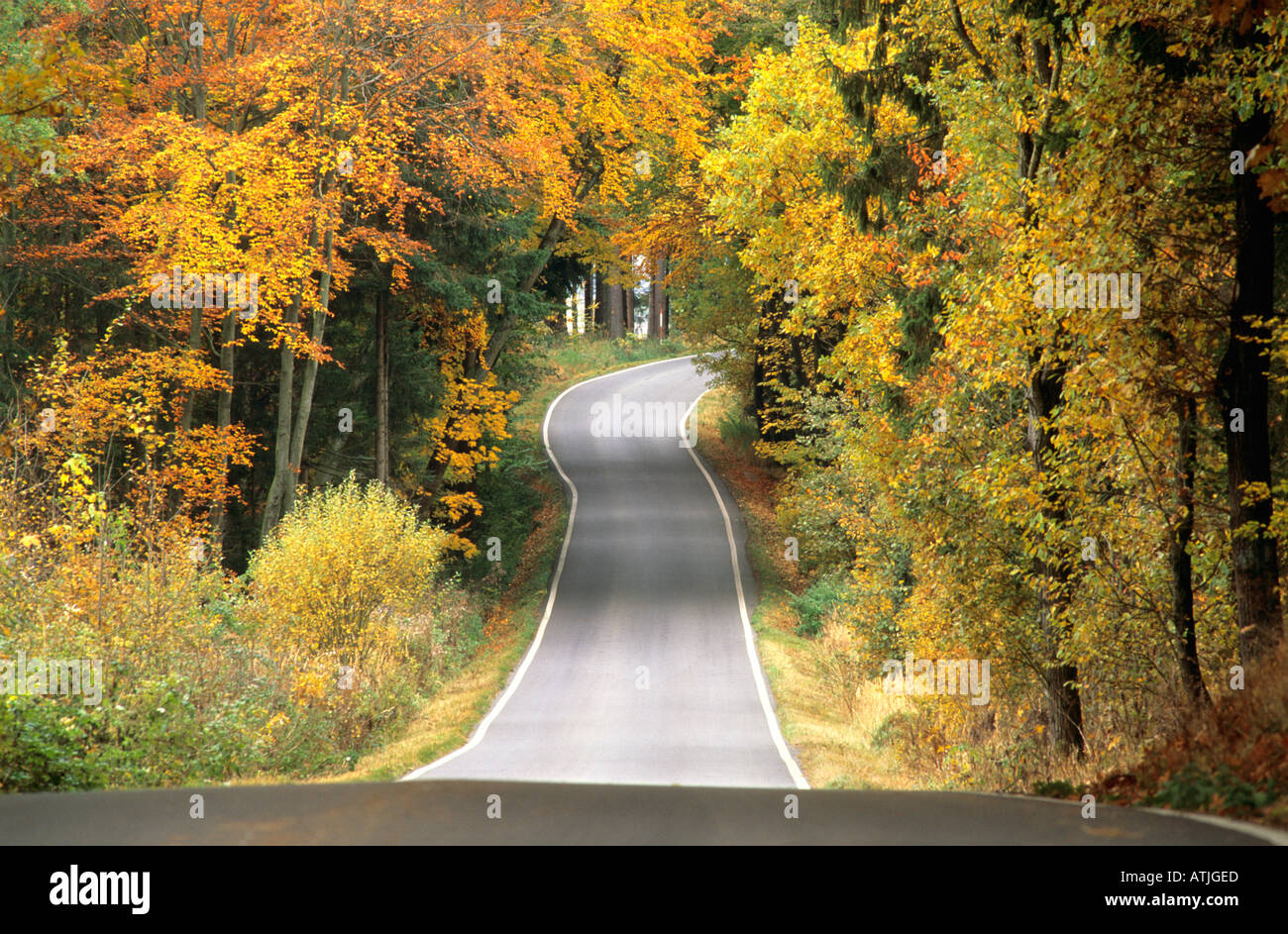 Sinuous curves of plants hi-res stock photography and images - Alamy